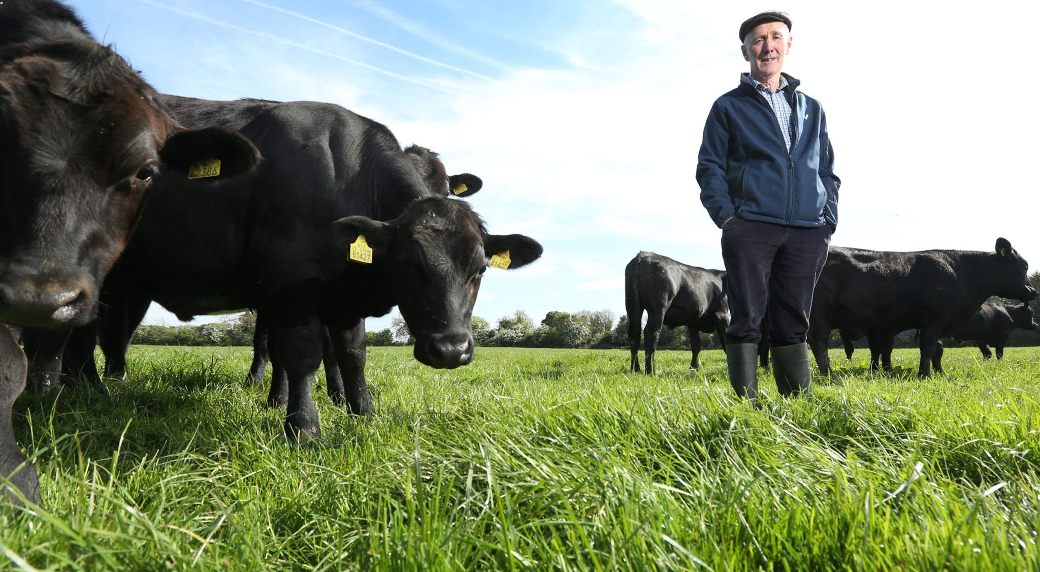 A rewarding career and lovely way of life – Certified Irish Angus Beef