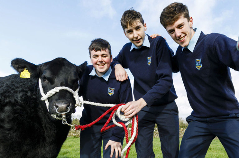 About Us – Certified Irish Angus Beef
