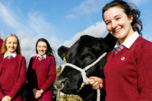Certified Irish Angus Beef – Raised with pride and certified