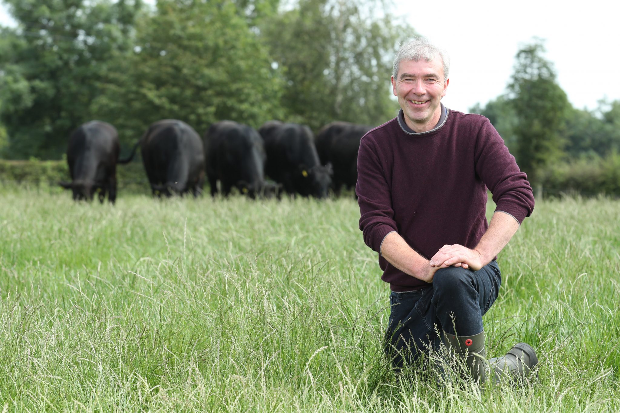 Our Farmers – Certified Irish Angus Beef