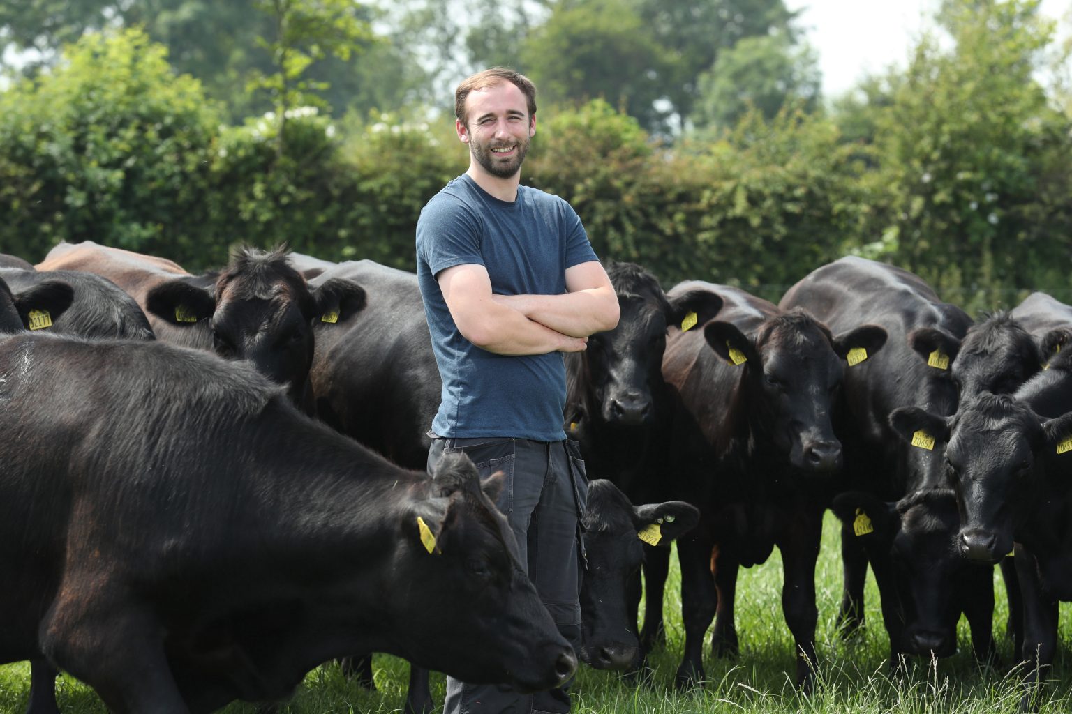 Ben Frazer – Certified Irish Angus Beef
