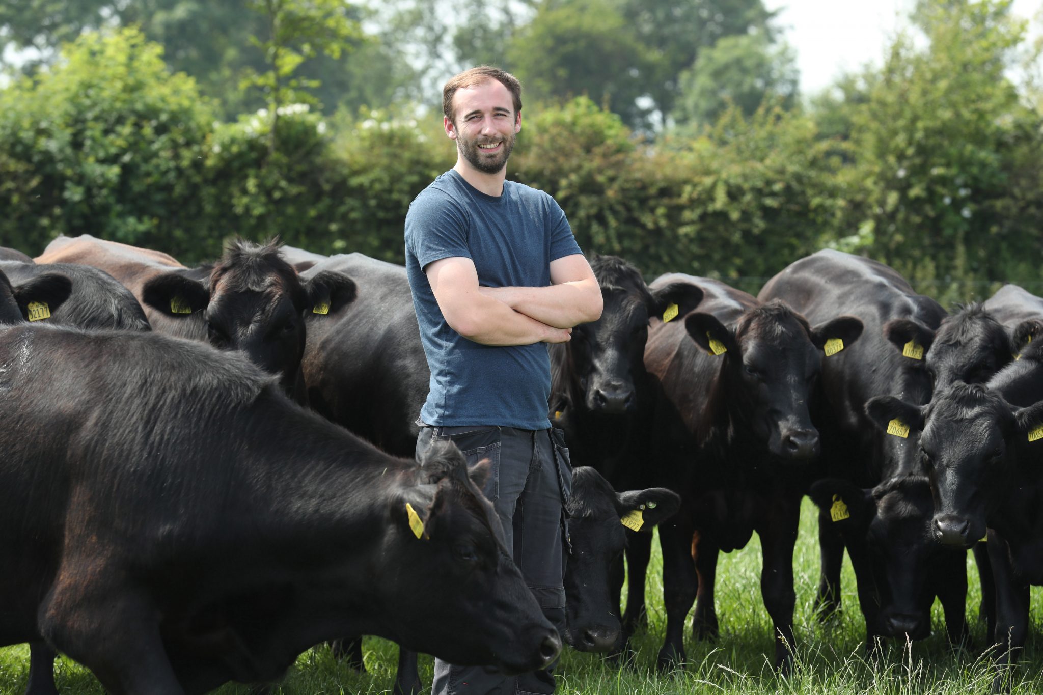 Ben Frazer – Certified Irish Angus Beef
