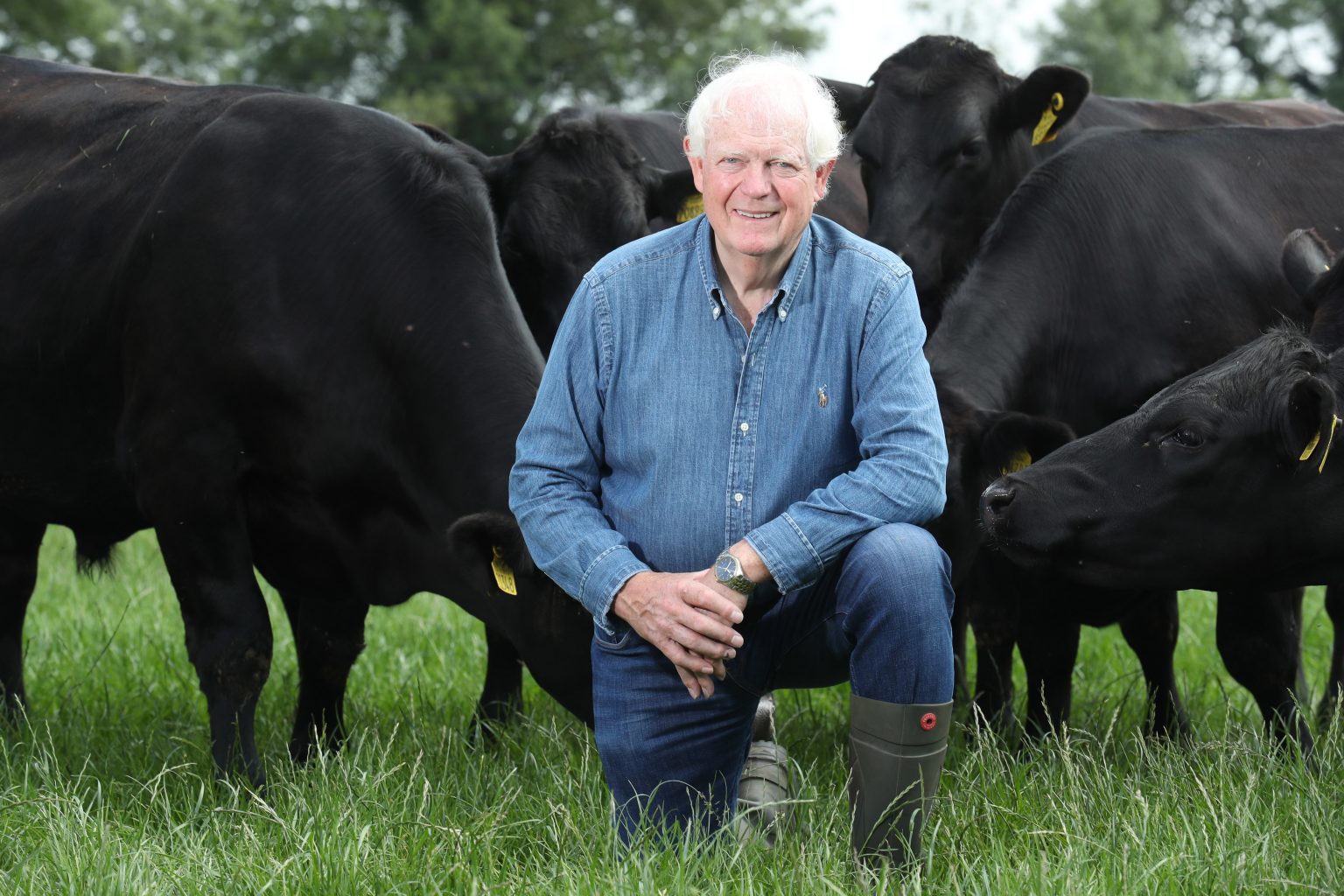 Brendan Shine – Certified Irish Angus Beef