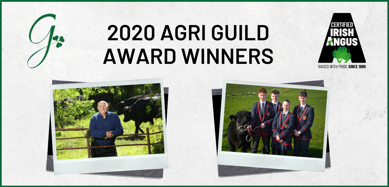 Certified Irish Angus initiatives honoured with two awards by Guild of ...