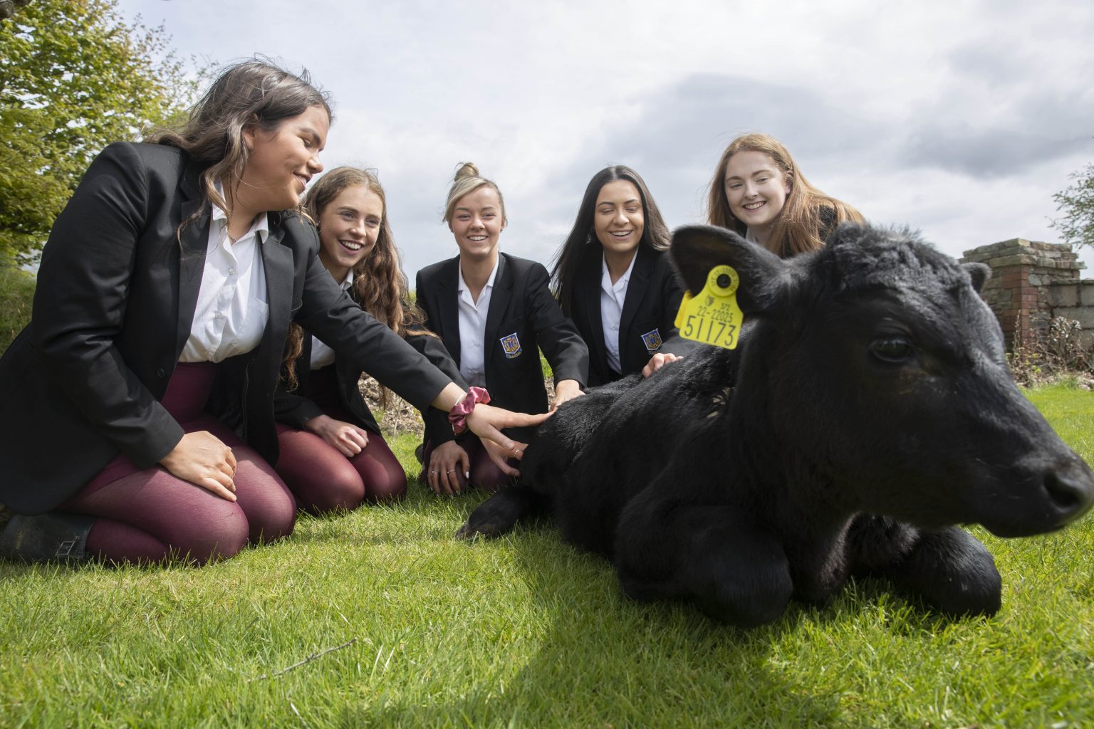 Certified Irish Angus Schools Competition – Certified Irish Angus Beef