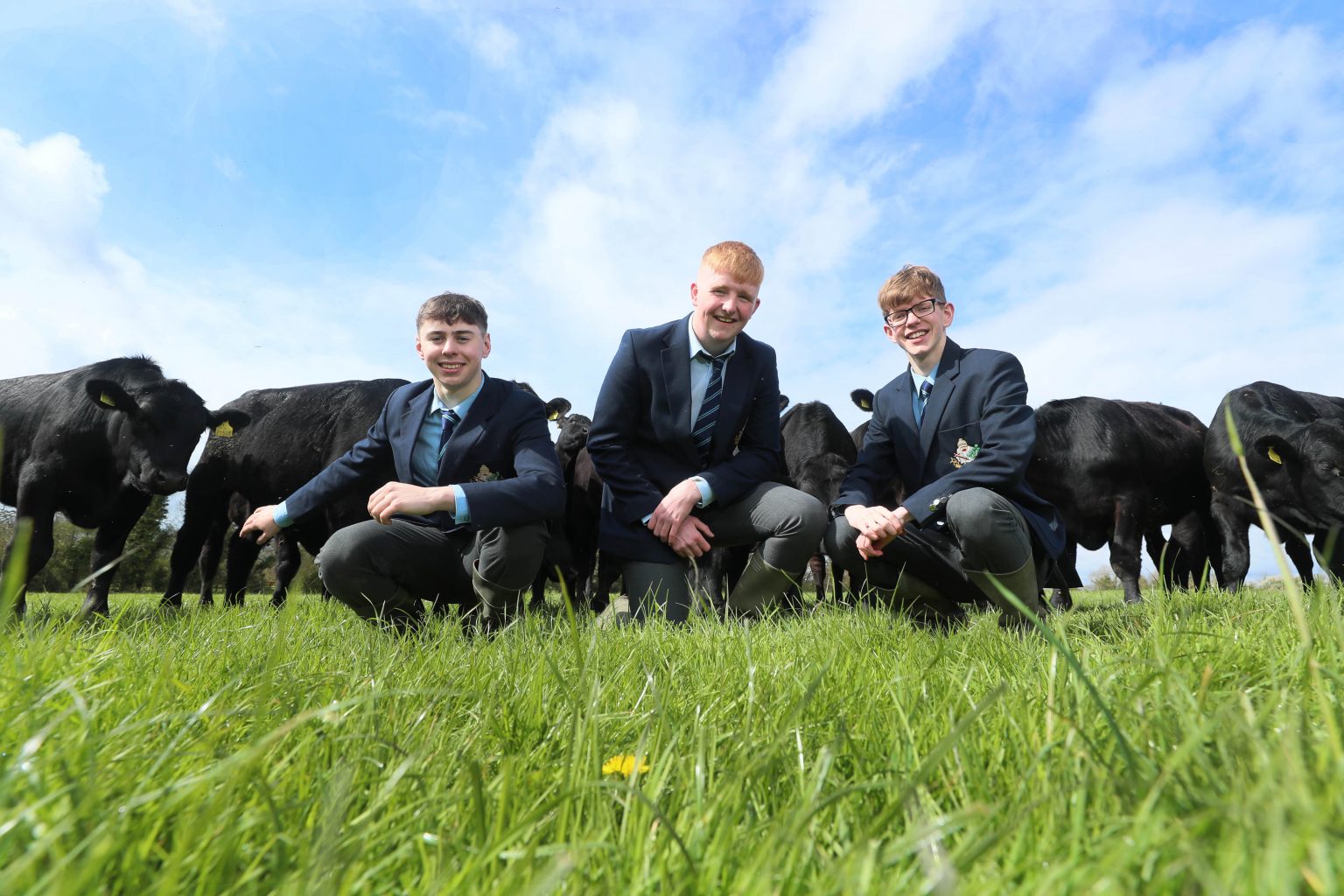 Certified Irish Angus Schools Competition – Certified Irish Angus Beef