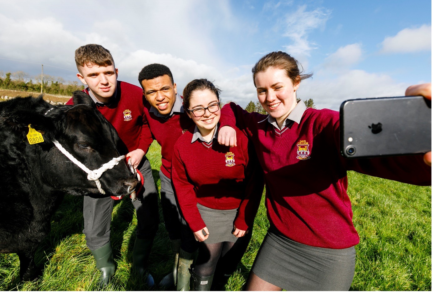 Certified Irish Angus Schools Competition – Certified Irish Angus Beef