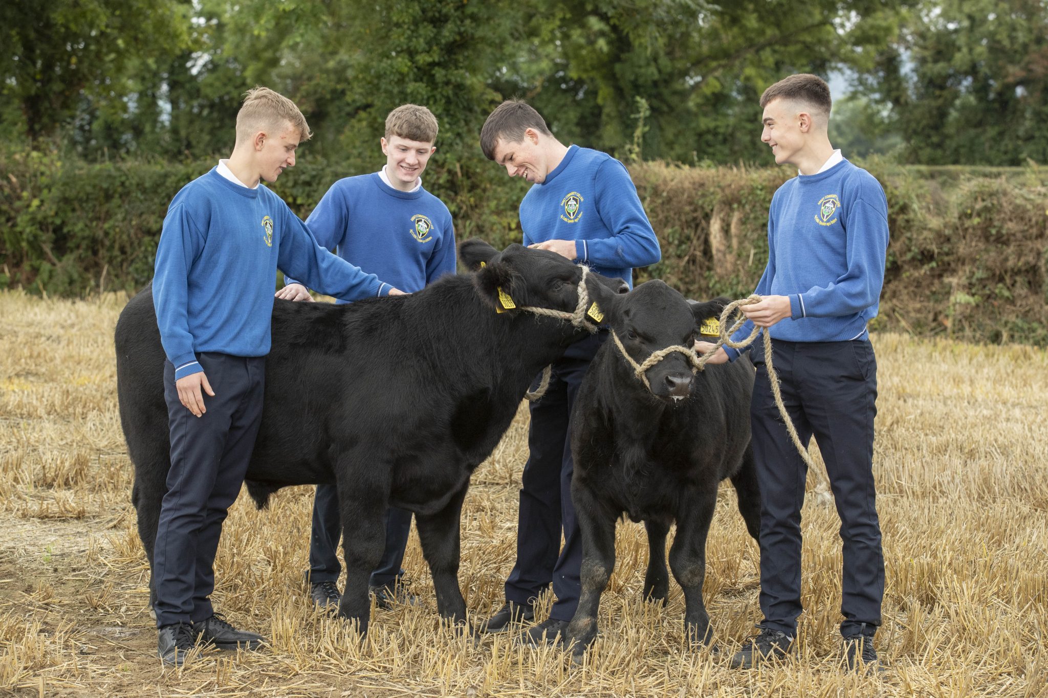 Six School Groups Announced As Finalists At Special National Ploughing ...