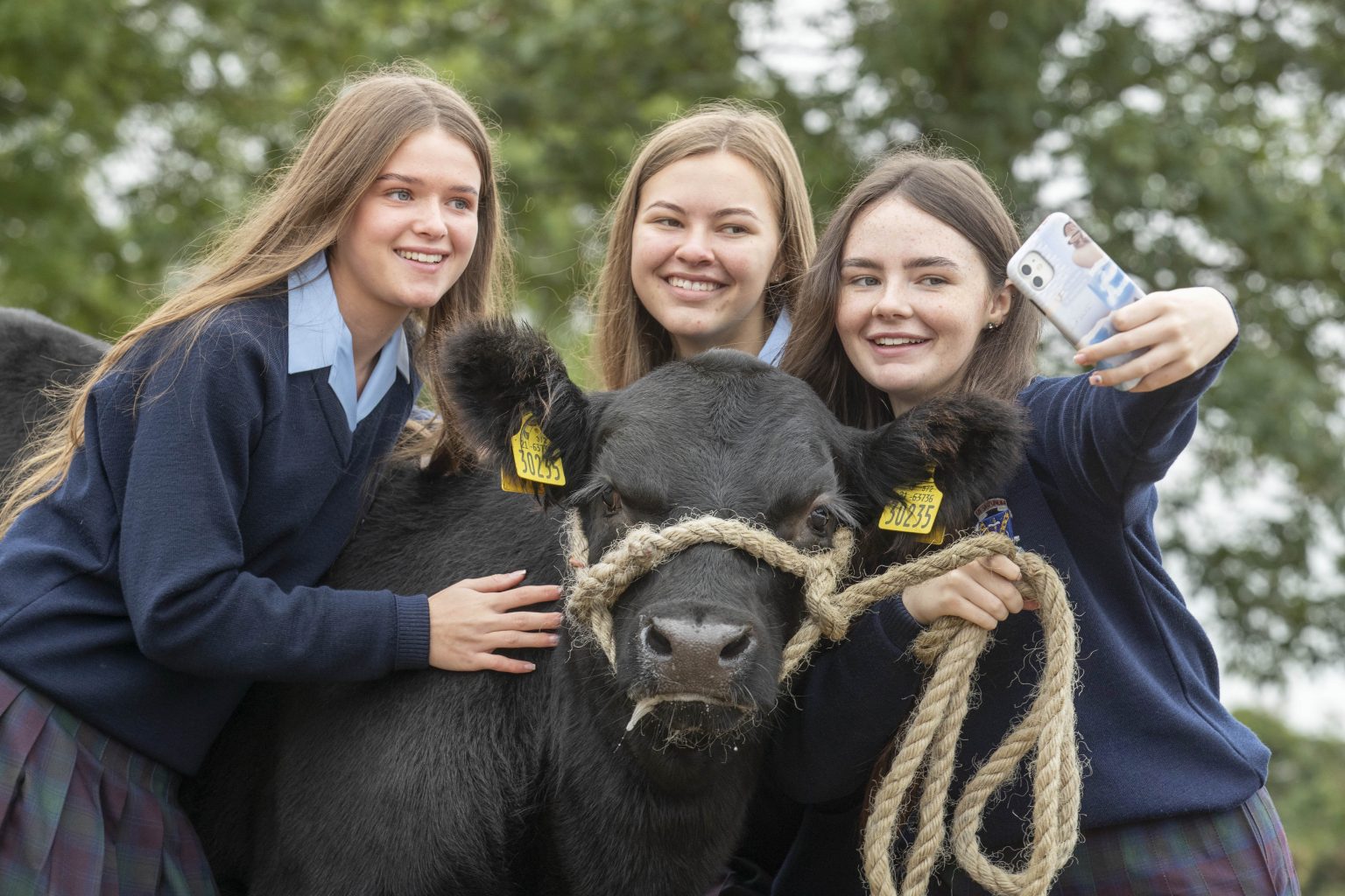Certified Irish Angus Schools Competition – Certified Irish Angus Beef
