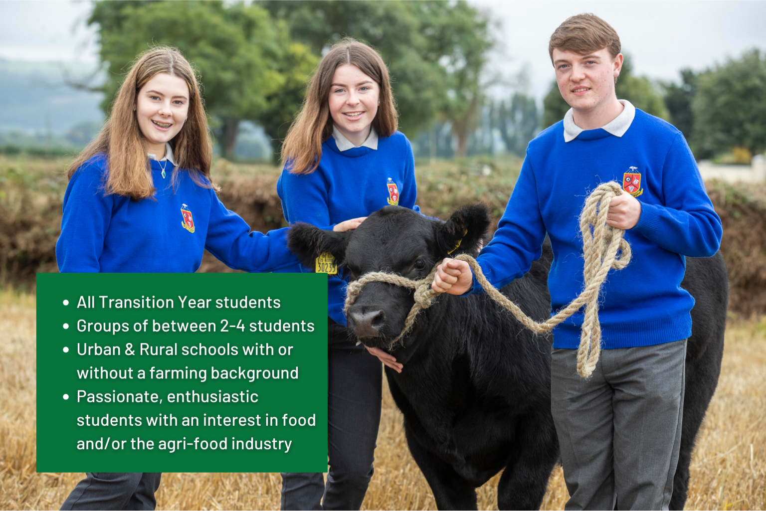 Certified Irish Angus Schools Competition – Certified Irish Angus Beef